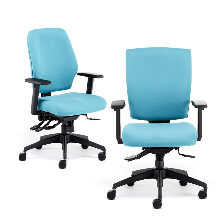 Mid price posture chairs - Healthy Workstations
