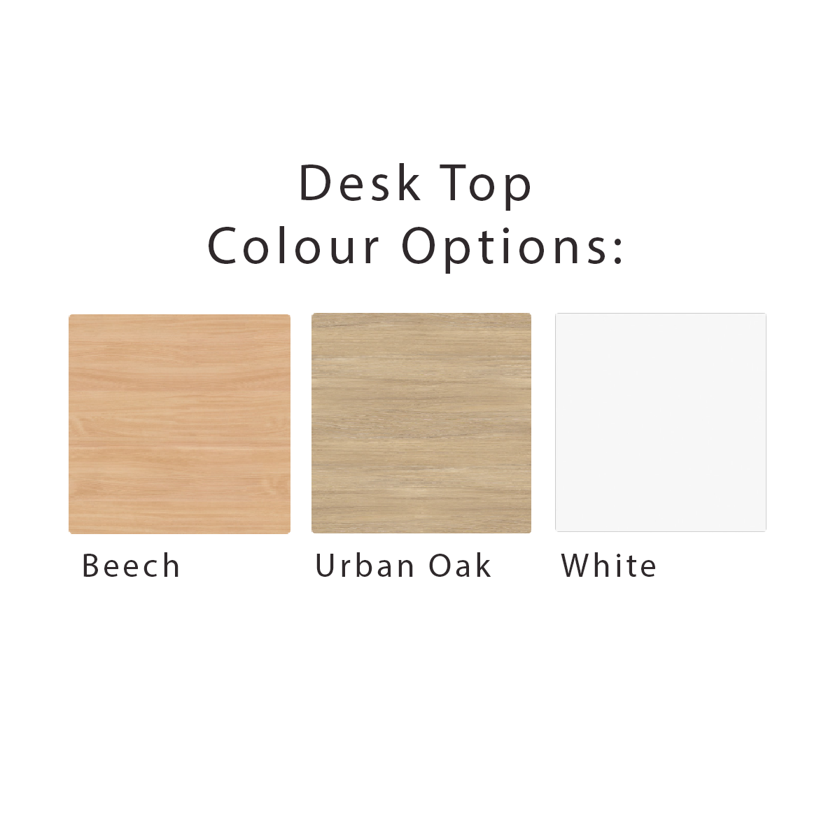 Zoom Desk 1800x800 - Healthy Workstations