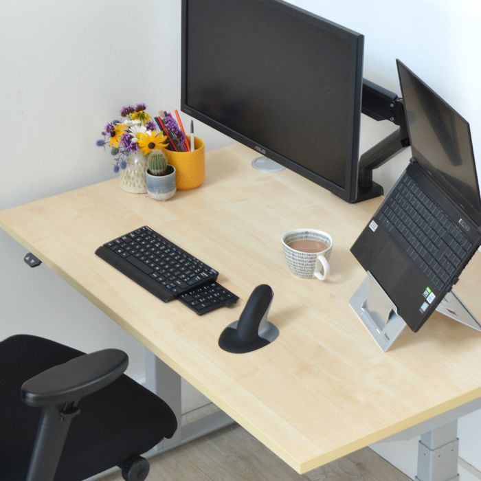 The Penguin 3-in-1 - Healthy Workstations