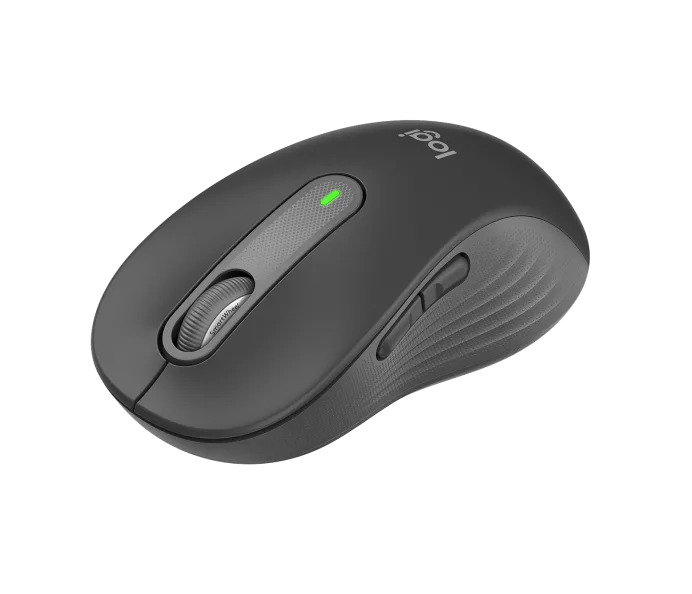 Large Mice - Healthy Workstations